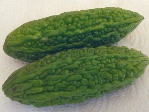 Peria Katak ( Bitter Gourd ). – Kasih Ilmar