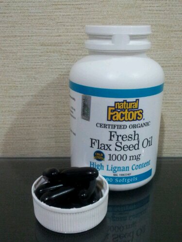 Khasiat Minyak Flaks (Flax seed Oil) – Kasih Ilmar